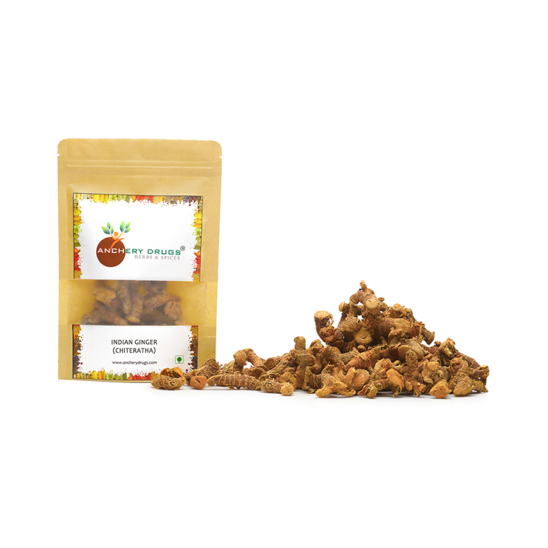 Buy Chittaratha Online | Kulanjan for Sale - Greater Galangal